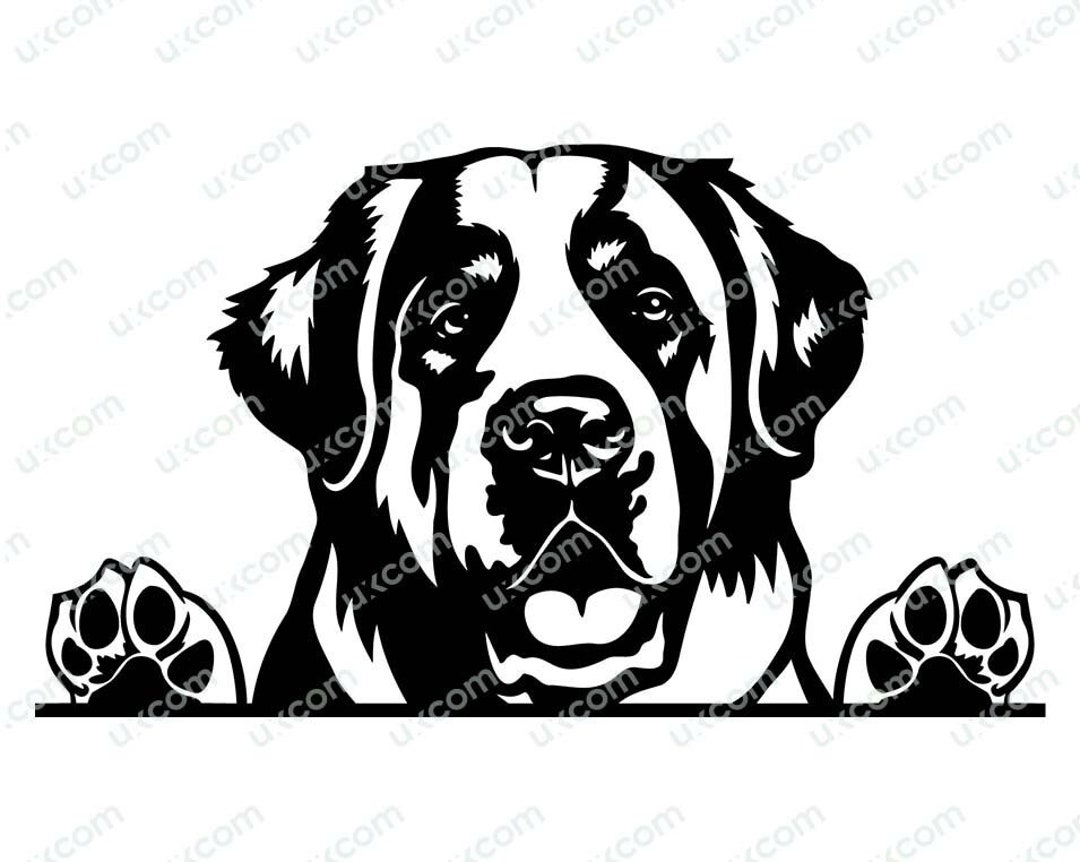 Saint Bernard Svg Peeking Dog St Bernard Breed Commercial Bernard Dog ...