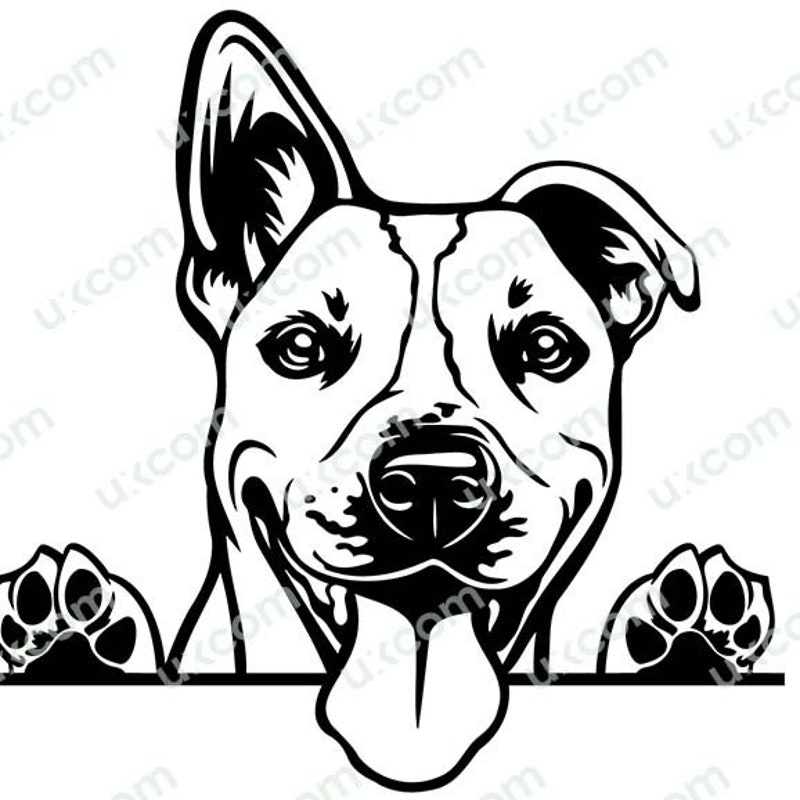 Red Heeler - Etsy