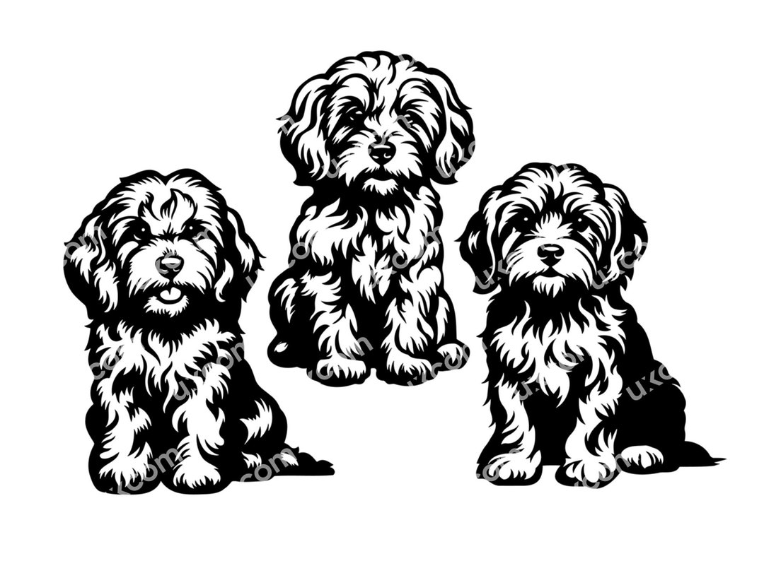 Cavapoo Set Svg 3 Commercial Cavoodle Cockapoo Full Body Bundle Dog ...