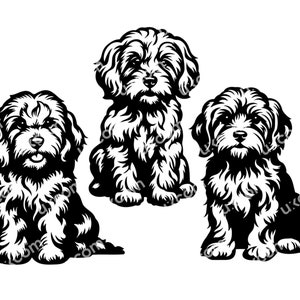 Cavapoo Set Svg 3 Commercial Cavoodle Cockapoo Full Body Bundle Dog ...