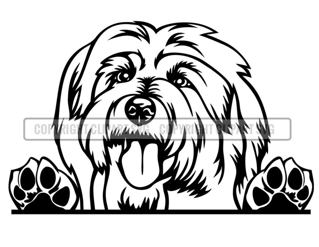 Havanese Peeking Dog Paws Breed Pet Commercial Animal Logo SVG - Etsy