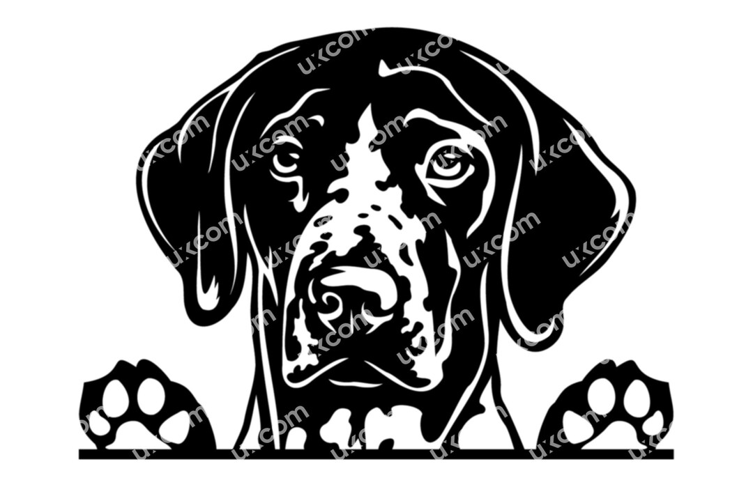 German Shorthaired Pointer Peeking Pointer Svg Pointer Paws Commercial ...