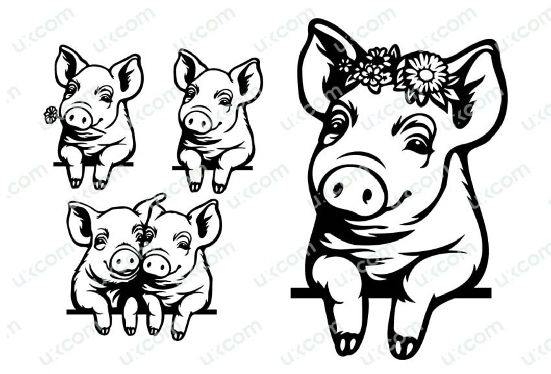 Cute Pig Set Commercial Peeking Piglets Farm Flowers Pig Floral Logo ...