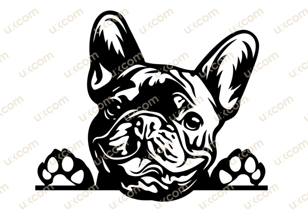 French Bulldog Peeking Dog Paws Commercial Frenchie Happy French ...