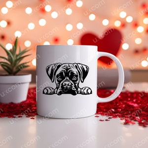 Boxer Peeking Svg Cute Boxer Svg Dog Boxer Breed Commercial Canine ...
