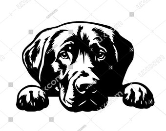 20 Labrador Svg Full Body Labrador Clipart Bundle Dog Breed Retriever ...