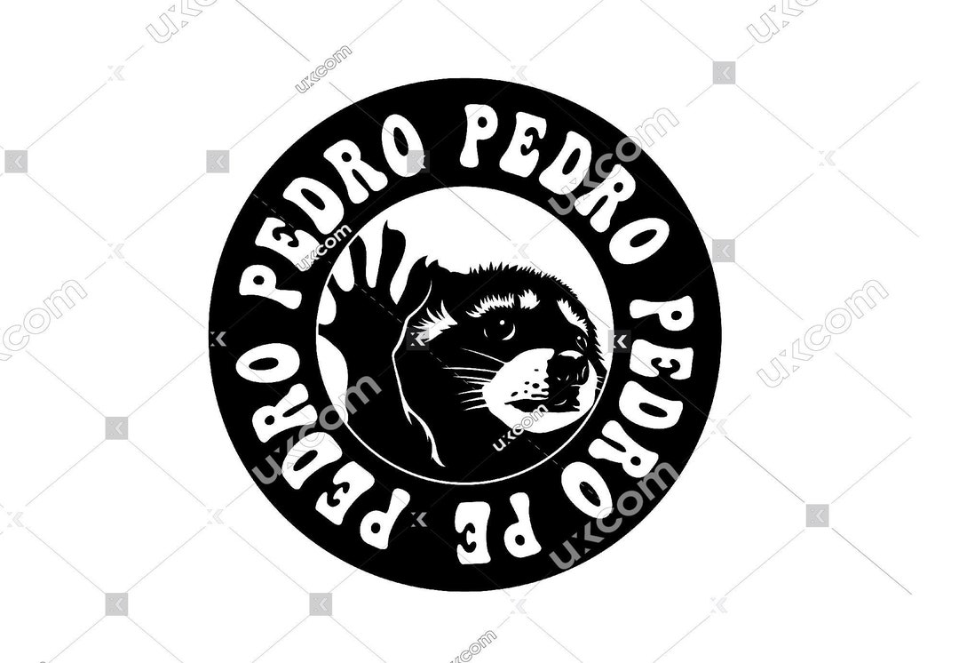 Pedro Pedro Raccoon Svg Funny Raccoon Tshirt Design Pedro Svg ...