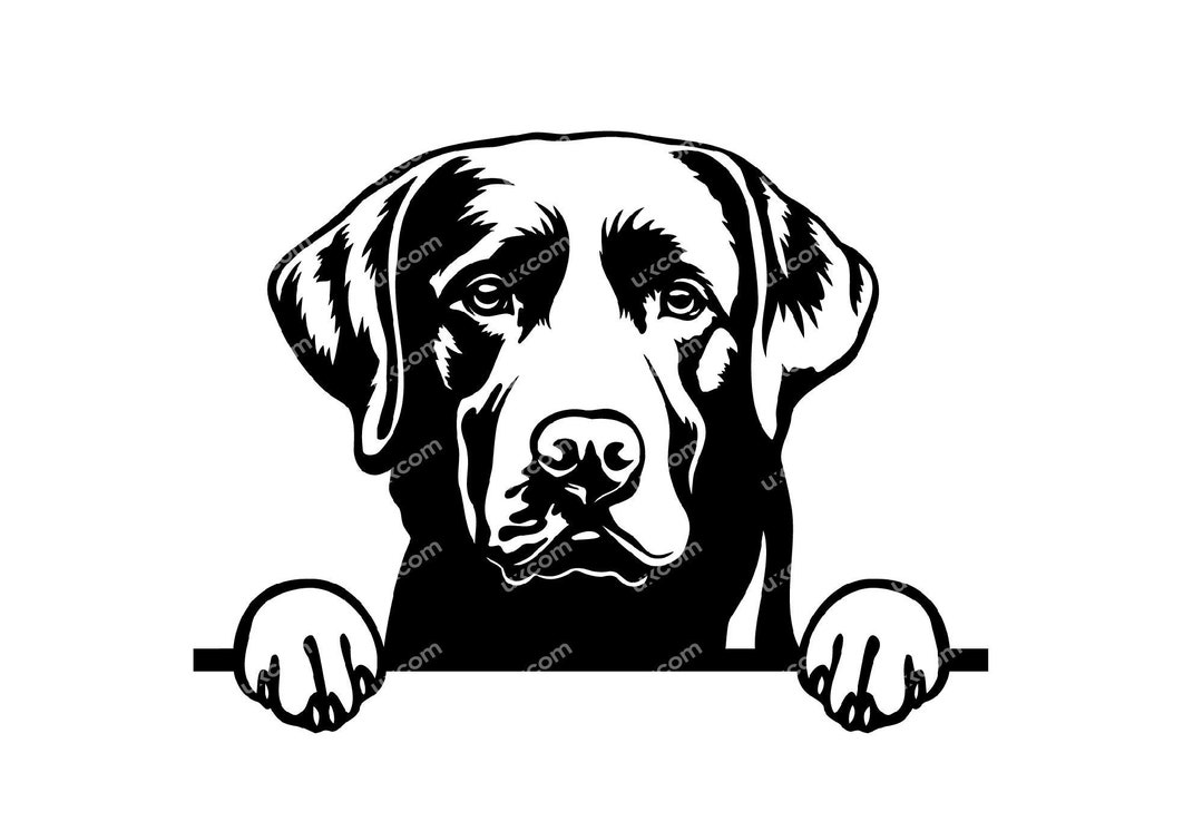 Labrador Retriever Peeking Dog Paws Labrador Retriever SVG Breed Lab ...