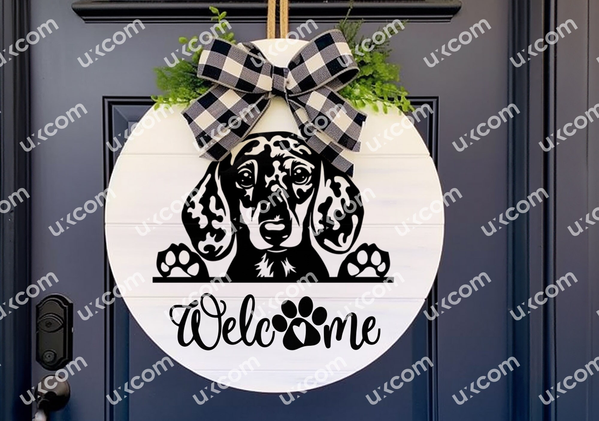 Dachshund Dappled Short Haired Peeking Doxie Dog Commercial Smiling ...