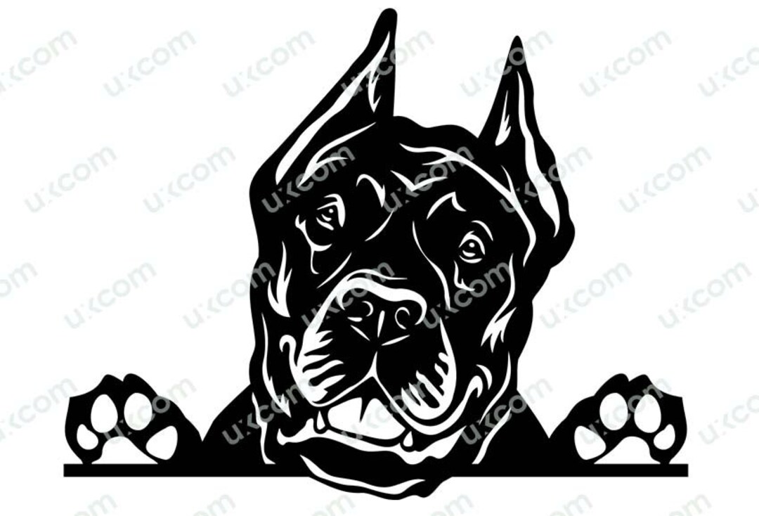 Cane Corso Svg Corso Peeking Dog Paws Commercial Breed Cane Corso ...