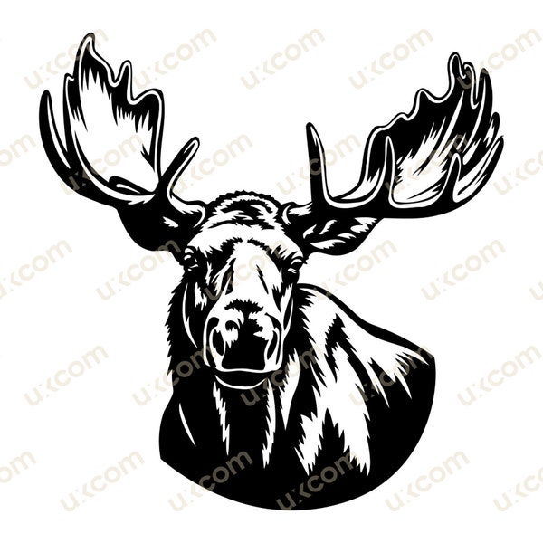 Moose Svg - Etsy