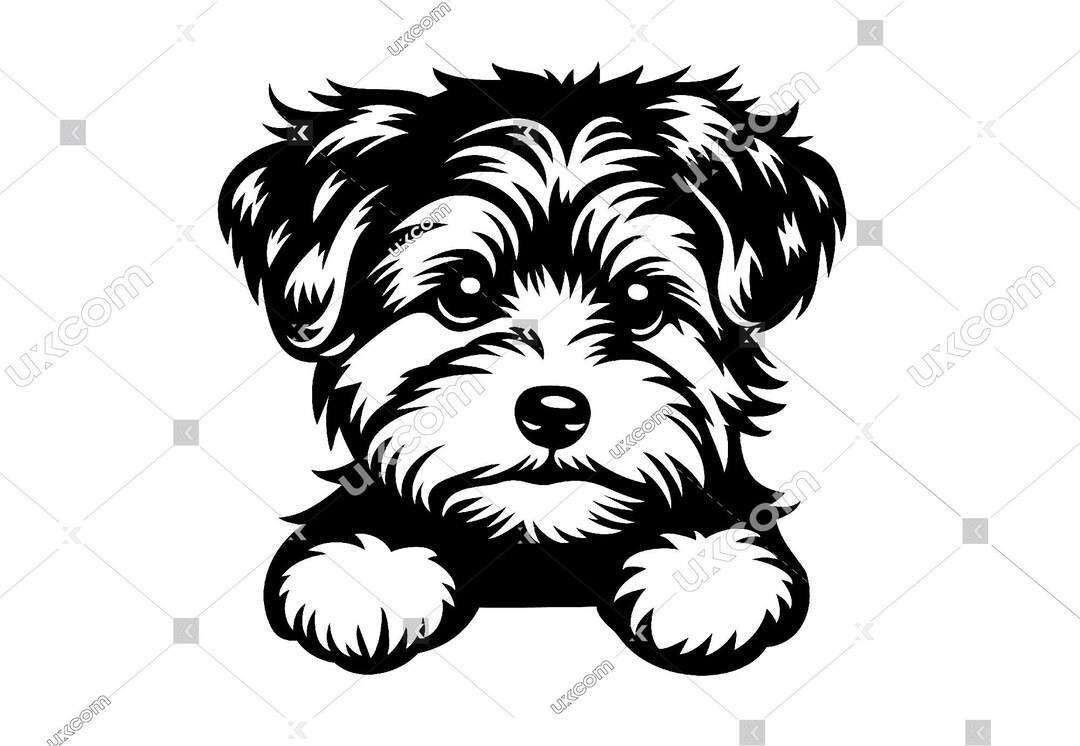 Yorkipoo Svg Peeking Dog Commercial Happy Cute Yorkipoo Mom Pedigree ...