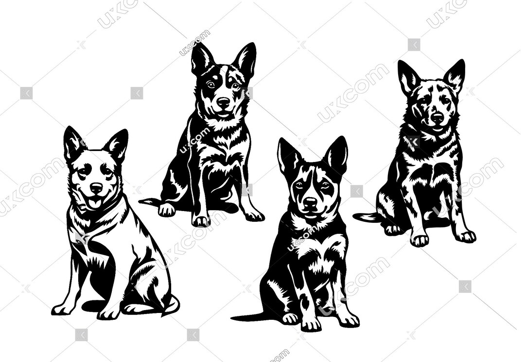 Australian Cattle Dog Svg Full Body 4 Red Heeler Set Bundle Cute Blue ...