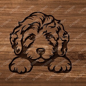 Cavapoo Svg Cavapoo Peeking Dog Commercial Cute Cavapoo Puppy CNC Svg ...