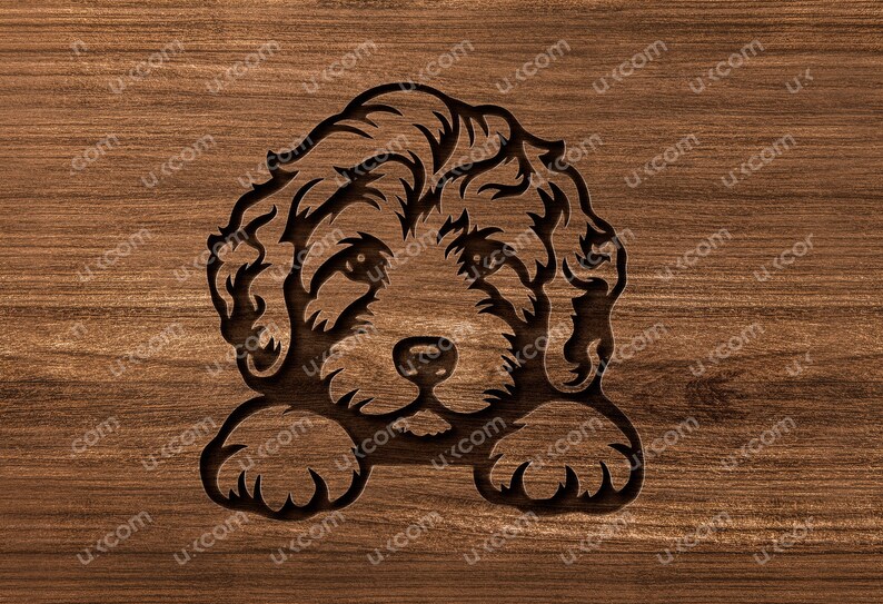 Cavapoo Svg Cavapoo Peeking Dog Commercial Cute Cavapoo Puppy CNC Svg ...