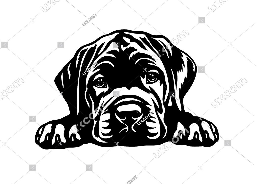Cane Corso Svg Corso Peeking Paws Cone Corso Puppy Commercial Dog Breed ...