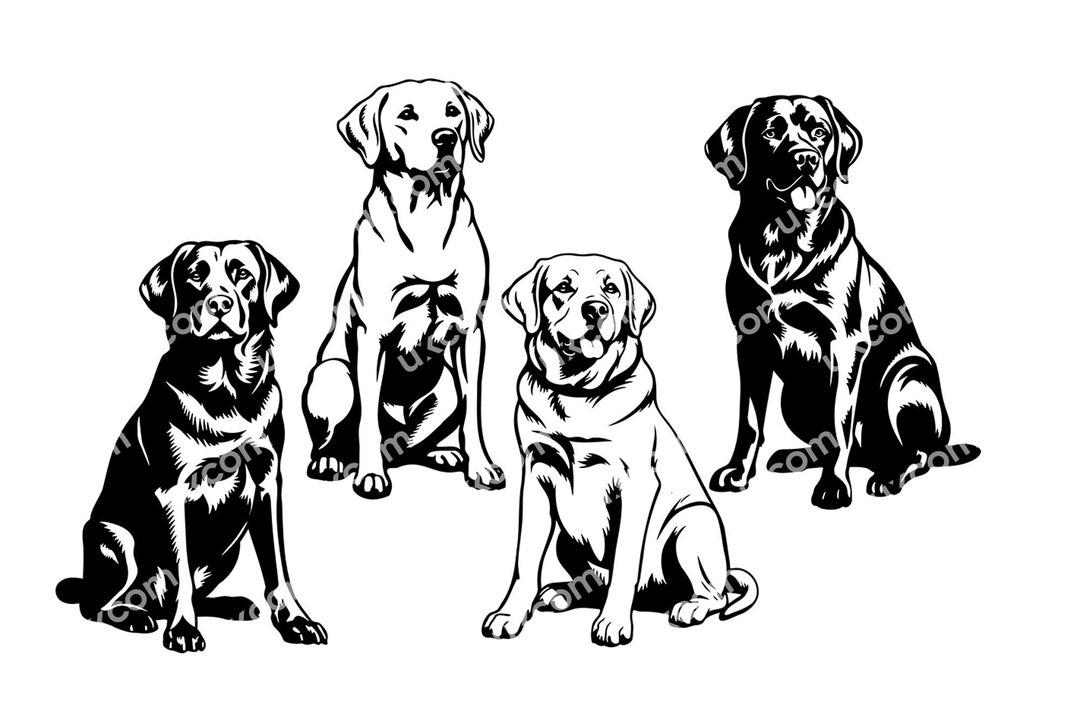 Labrador Svg Set 4 Full Body Labrador Clipart Bundle Dog Breed ...