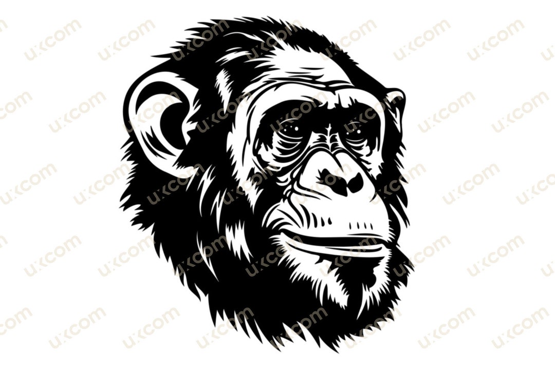 Chimpanzee Svg Cut File Cricut Wild Animal Monkey Clipart Chimpanzee ...