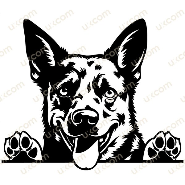 Red Heeler - Etsy