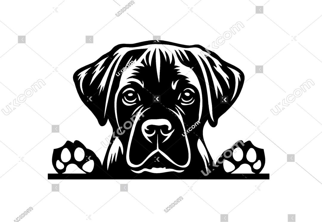 Boxador Peeking Svg Cute Boxador Svg Dog Breed Commercial Canine Boxer ...
