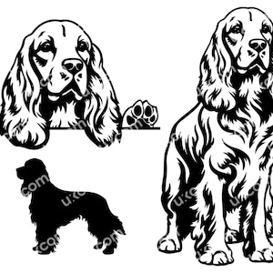 English Cocker Spaniel Peeking Dog Commercial Cocker Spaniel Bundle ...