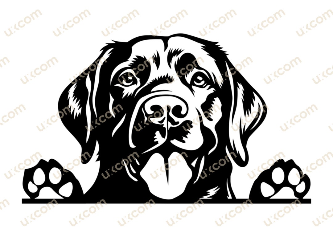 Labrador Retriever Svg Peeking Labrador Commercial Happy Labrador Cute ...