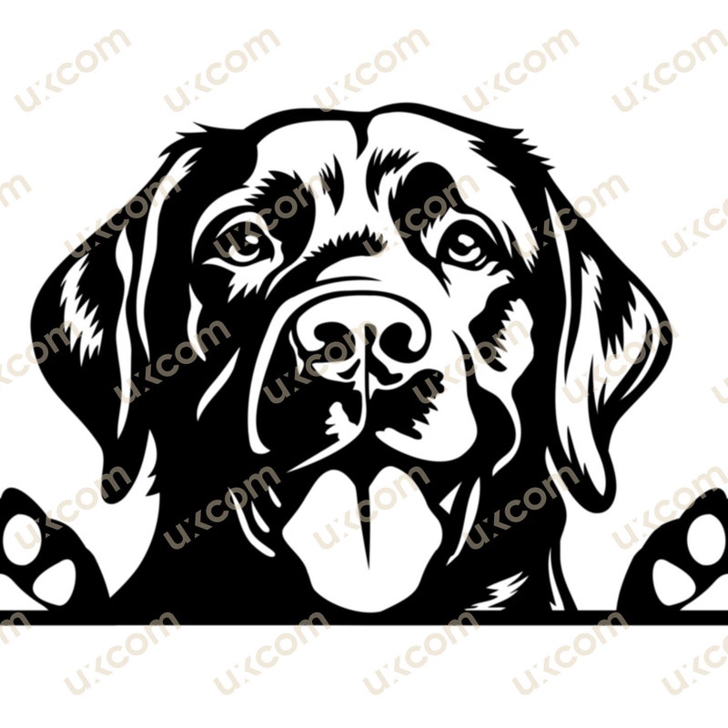 Peeking Lab Svg - Etsy