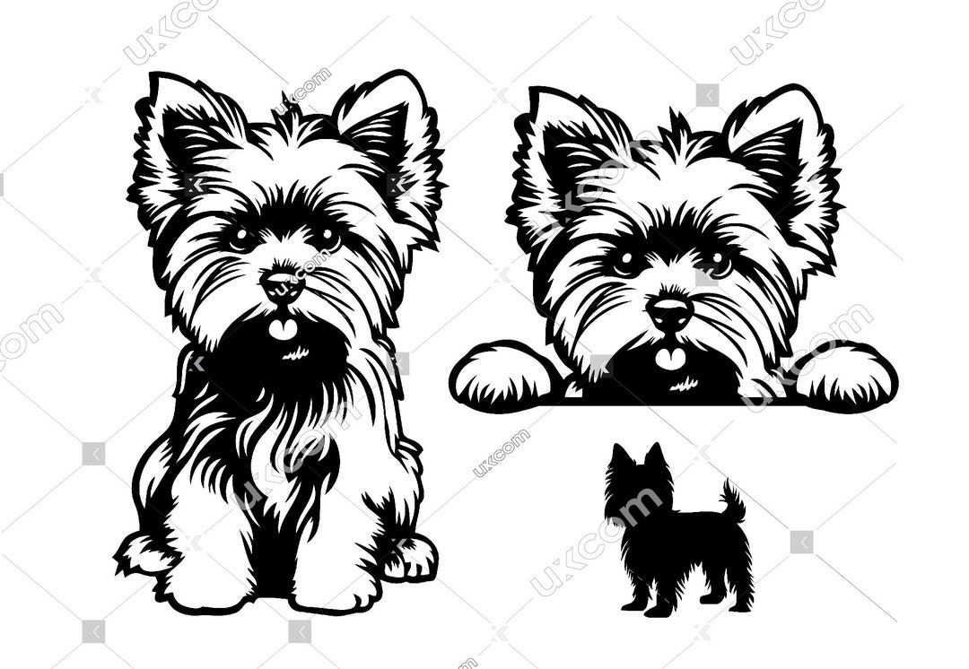 Yorkshire Terrier Peeking Dog Yorkshire Terrier Svg 3 York Laser Cut ...