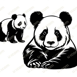 Panda Peeking Svg Cut File Cricut Cute Panda Baby Clipart Tshirt ...