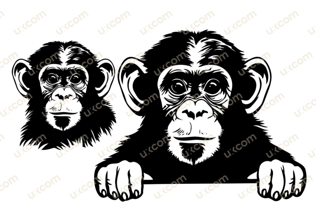 Chimpanzee Peeking Svg Cut File Cricut Cute Monkey Clipart Chimpanzee ...