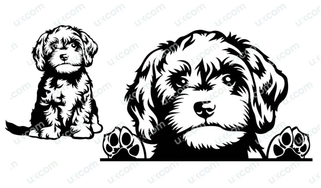 Cavapoo Peeking Dog Commercial Cavoodle Mom Cute Cavapoo SVG PNG EPS ...