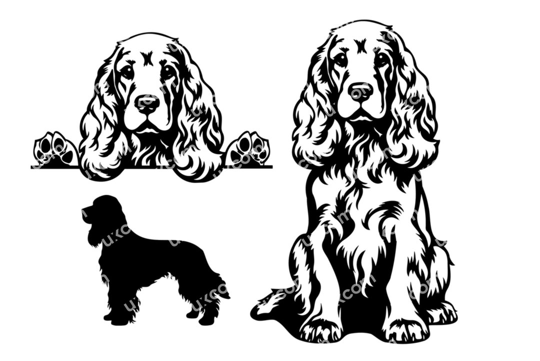 Cocker Spaniel Peeking Dog 3 Commercial English Cocker Spaniel Svg ...
