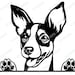 Rat Terrier Svg Peeking Commercial Rat Terrier Mom Breed Cut File Rat ...