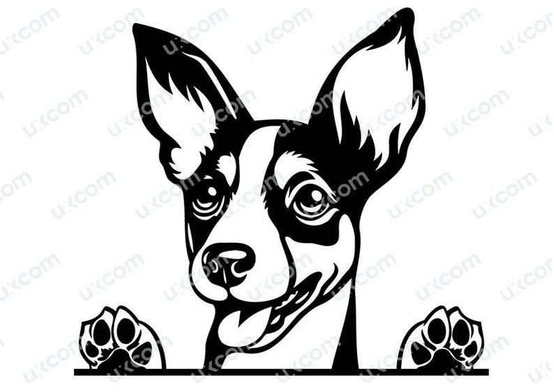 Rat Terrier Svg Peeking Commercial Rat Terrier Mom Breed Cut - Etsy