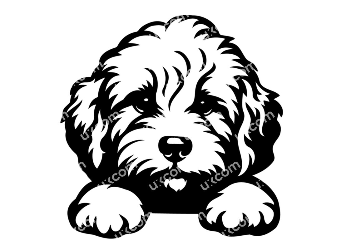 Cavapoo Svg Cavapoo Peeking Dog Commercial Cute Cavapoo Puppy CNC Svg ...