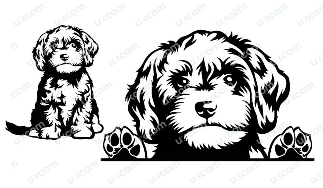 Cavapoo Peeking Dog Commercial Cavoodle Mom Cute Cavapoo SVG PNG EPS ...