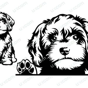 Cavapoo Peeking Dog Commercial Cavoodle Mom Cute Cavapoo SVG PNG EPS ...