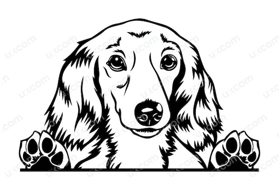 Puppy Poten Clipart Cute Puppy Clip Art PSD, High Quality Free PSD