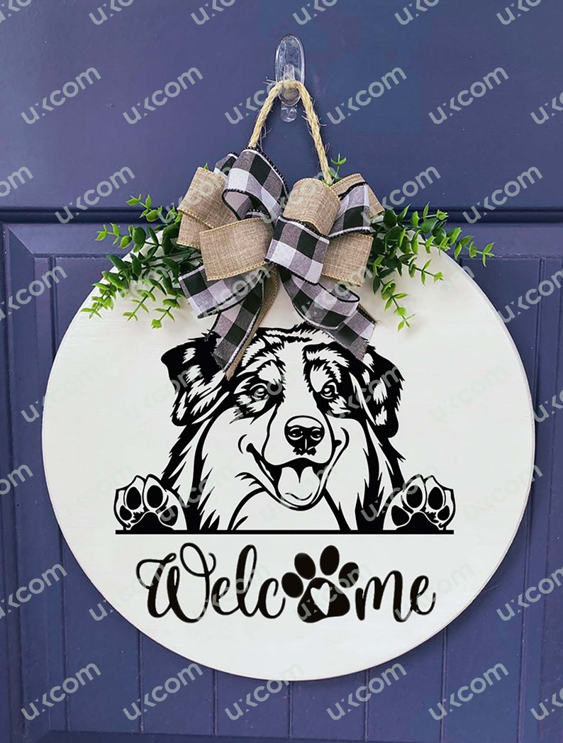 Australian Shepherd Aussie Peeking Dog Breed Commercial Aussie Mom ...