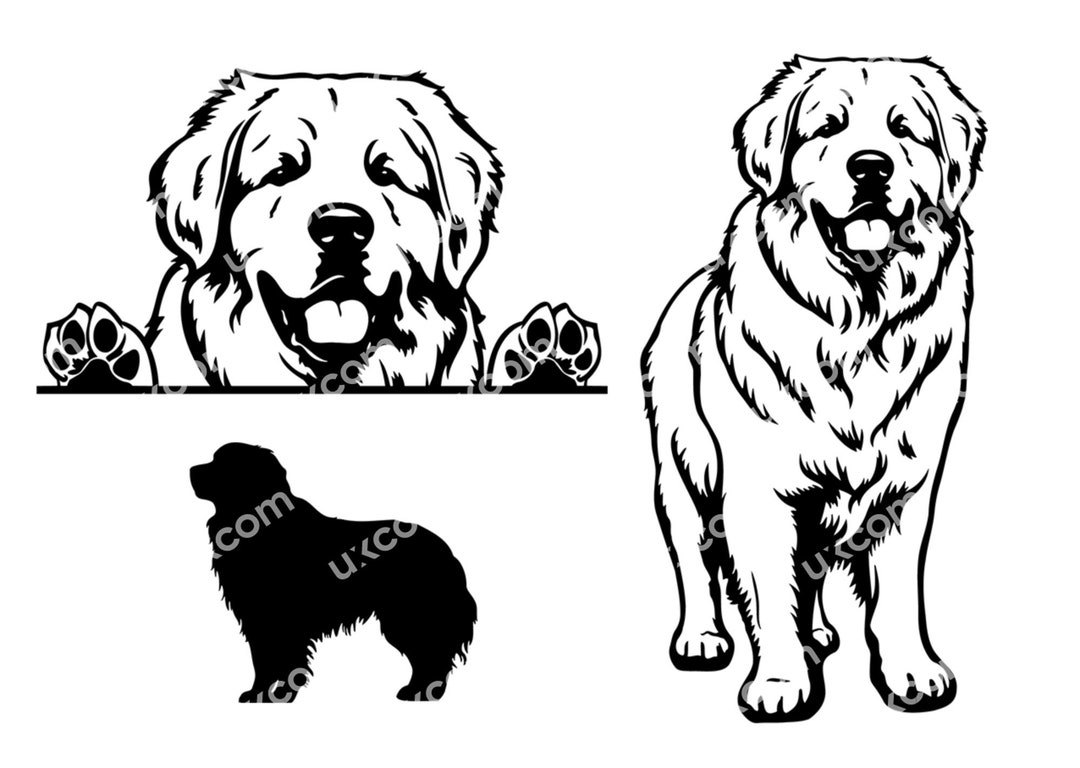 Great Pyrenees Peeking Svg Dog 3 Commercial Happy Pyrenees Dog ...