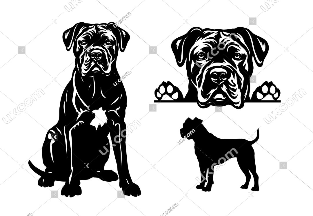 Cane Corso Svg Corso Peeking Dog 3 Cane Corsoset Breed Commercial Dog ...