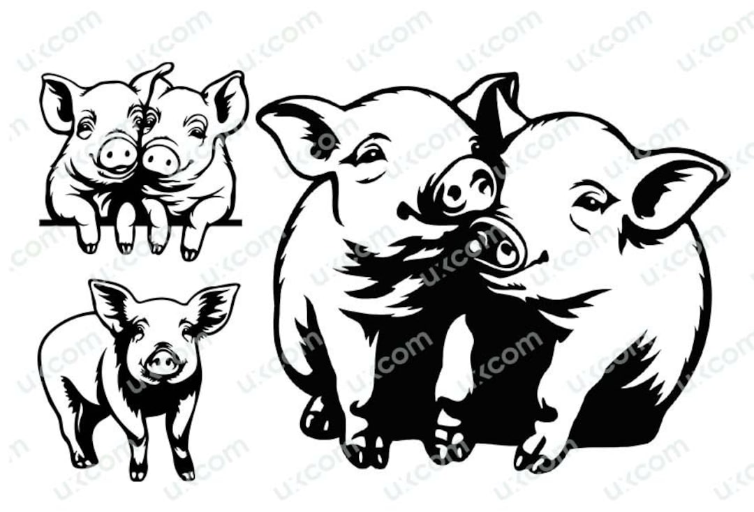 Cute Pig Set Commercial Peeking Piglets Farm Flowers Pig Floral Logo ...