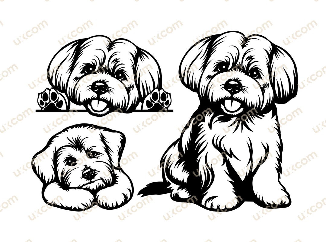 Maltese Svg Peeking Dog Bundle Commercial Happy Maltese Set Pedigree ...