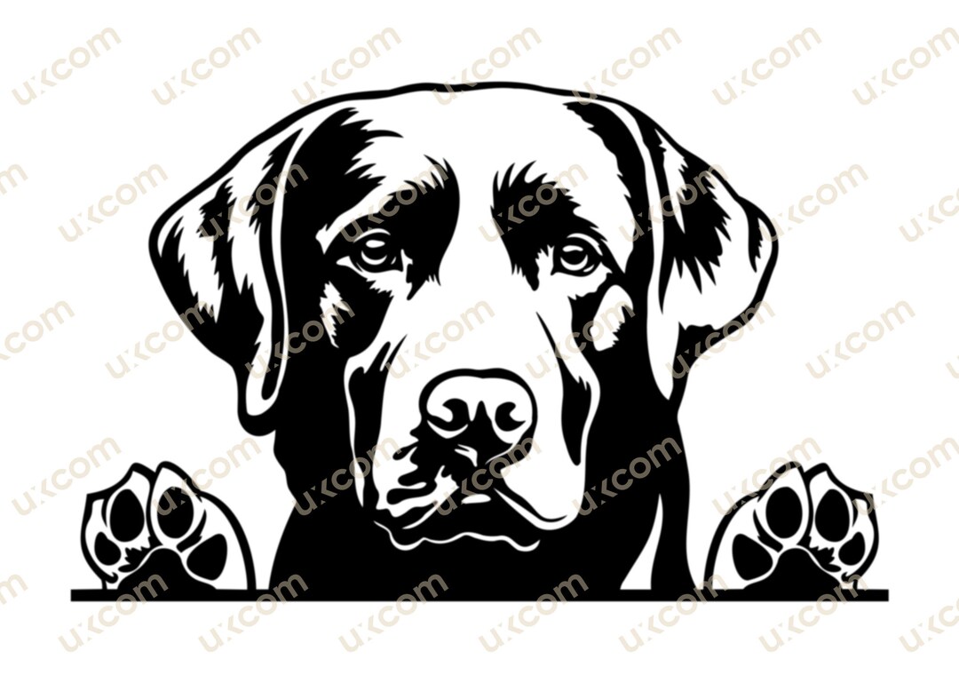 Labrador Retriever Peeking Dog Paws Labrador Retriever SVG Breed Lab ...
