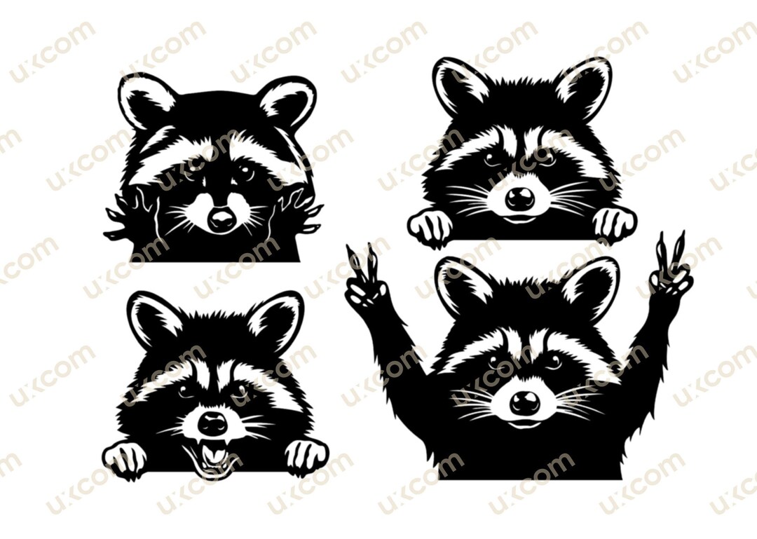 Raccoon Svg Set Bundle Funny Raccoon Set Commercial Cute Racoon Cricut ...