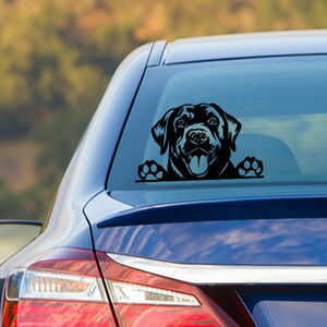 Black Labrador Svg Peeking Lab Dog Commercial Black Lab Mom Happy ...