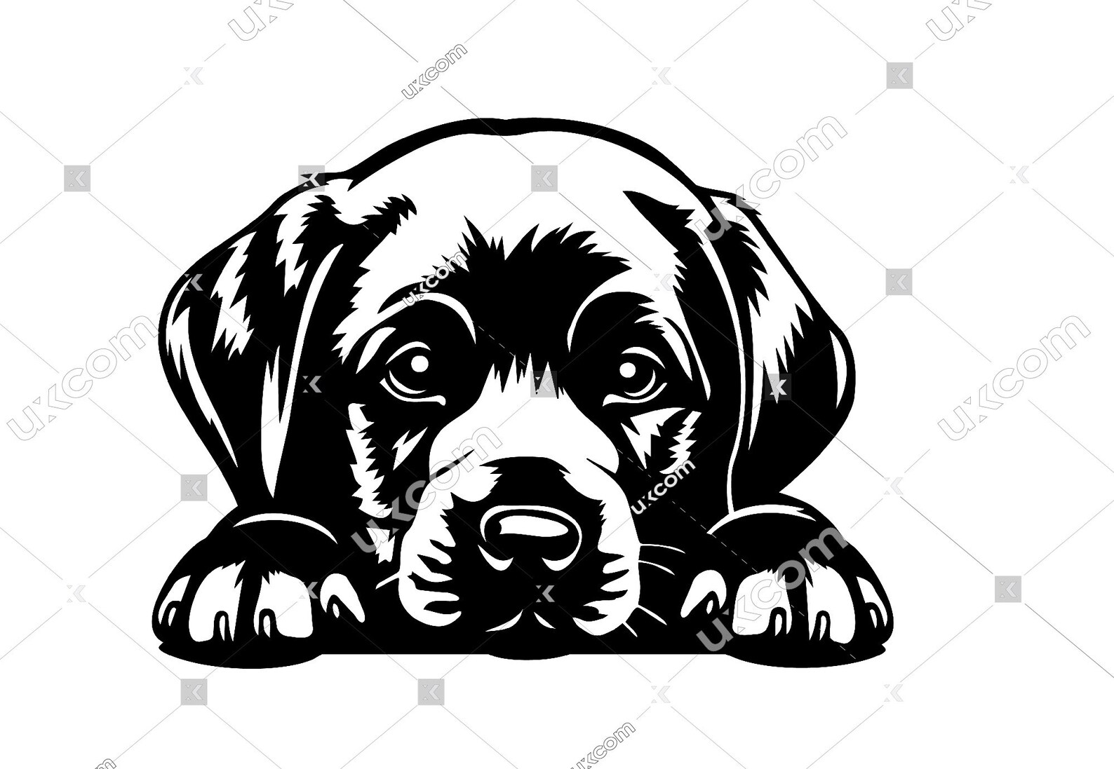 Labrador Retriever Peeking Dog Paws Commercial Labrador SVG Labrador ...