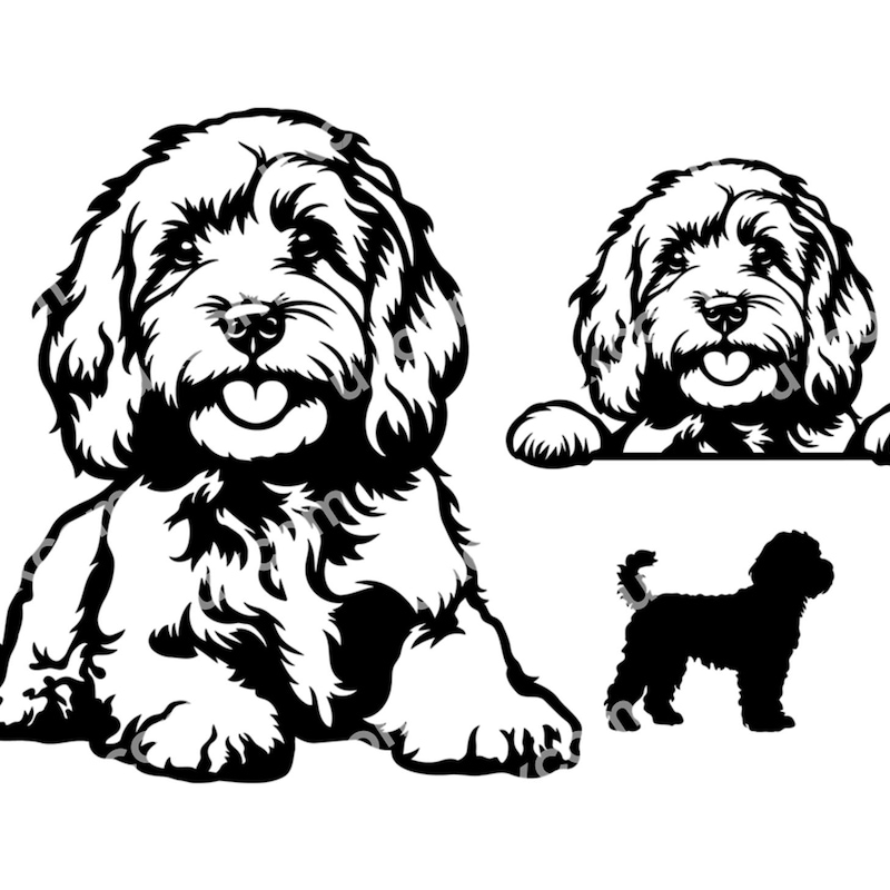 Cockapoo - Etsy