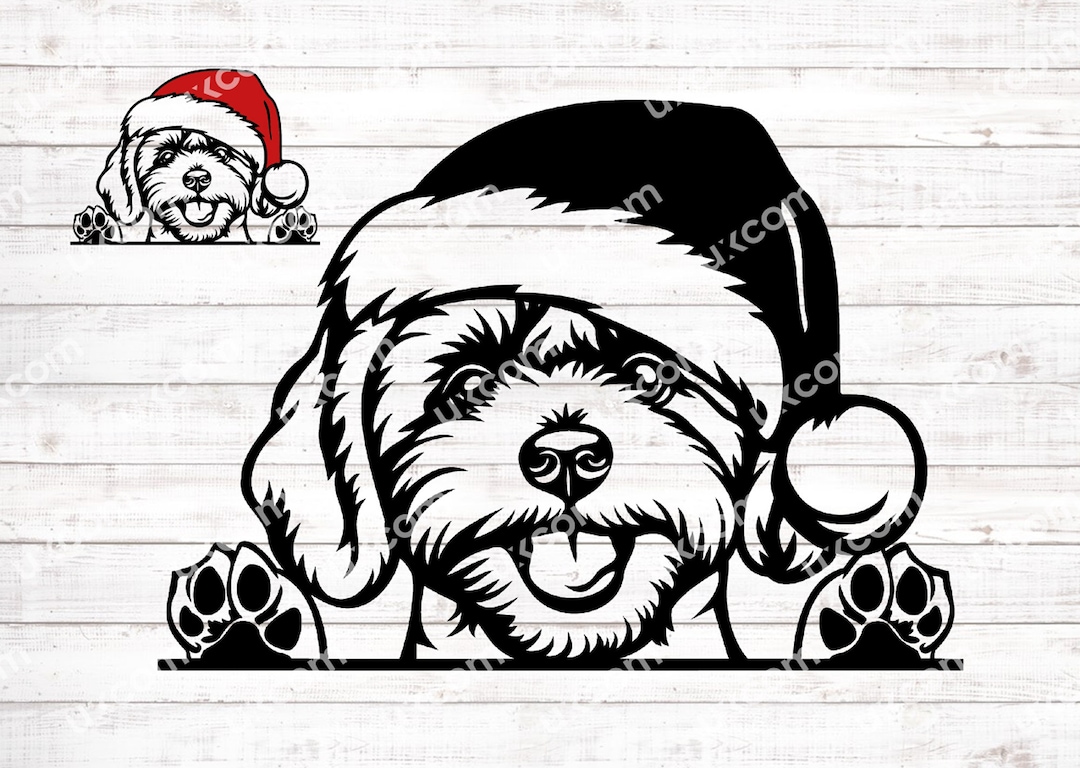 Cavapoo Peeking Dog Commercial Cavoodle Christmas Santa Hat - Etsy