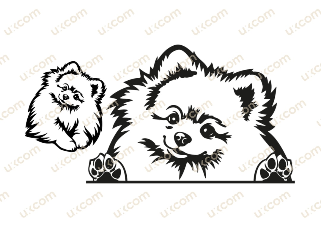 Pomeranian Svg Pomeranian Peeking Dog Paws Cute Pom Pom Mom Commercial ...